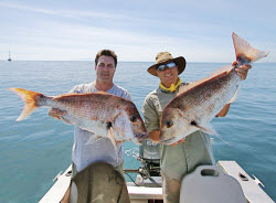 Spring Snapper in the Hauraki Gulf - The Fishing Website