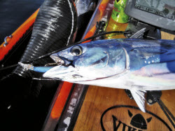 Kayak Fishing - How to fish hard body lures - The Fishing Website