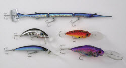 Kayak Fishing - Snapper on Hard-body lures - The Fishing Website