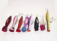 Stickbaits and Surface Fishing Techniques - Part 1 - The Fishing Website