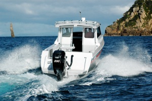 AMF 660 Pro-Sport Series Hardtop Cabin - The Fishing Website