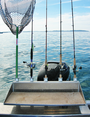 Senator Typhoon 76 - The Fishing Website