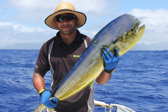 Fishing and Diving in Samoa - The Fishing Website