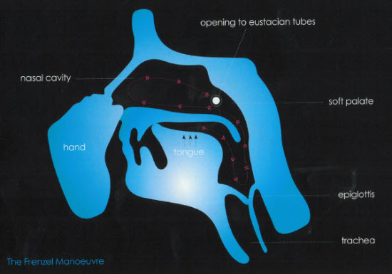 Equalising Techniques - The Fishing Website