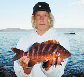 Saltwater fly - targeting Red Moki - The Fishing Website