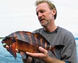 Saltwater fly - targeting Red Moki - The Fishing Website