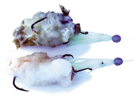 Surfcasting - catching smooth hound, rig or lemon fish - The Fishing ...