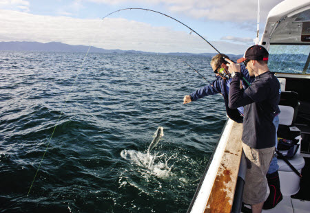 Catching Kahawai - A tasty sportfish - The Fishing Website