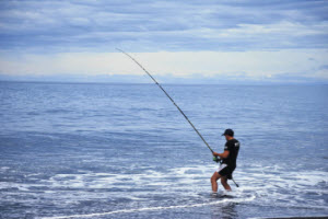 Slide baiting live baits - The Fishing Website