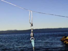 Slide baiting live baits - The Fishing Website