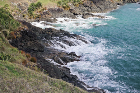 Successful stray-lining from the shore - The Fishing Website