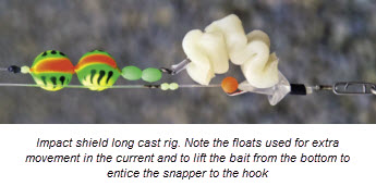 Surfcasting for Snapper - The Fishing Website