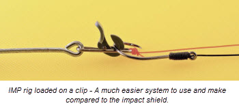 Surfcasting for Snapper - The Fishing Website