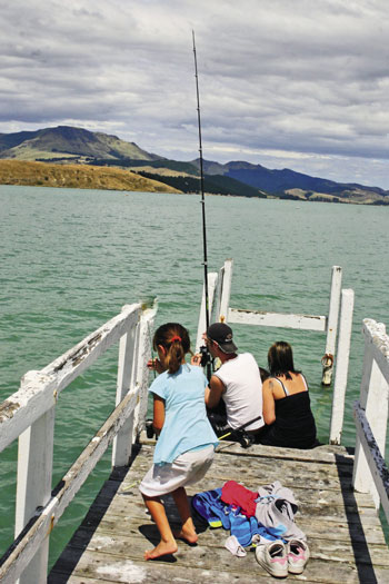 Land based fishing - tips and techniques - The Fishing Website