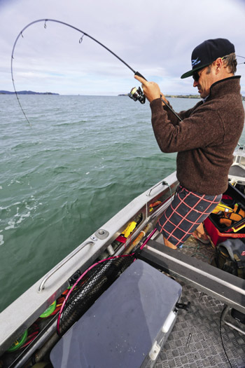 How to catch Kahawai on lures - The Fishing Website