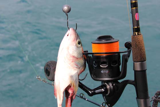 Trokar Hooks reviewed - The Fishing Website