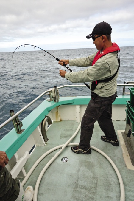 Cook Strait Fishing Charters - Review - The Fishing Website