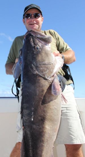 How to Catch Hapuku - The Fishing Website