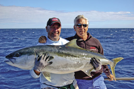 Kingfish at White Island NZ - The Fishing Website