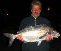 Blue Moki - The Fishing Website