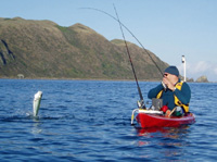 How to catch kahawai - The Fishing Website