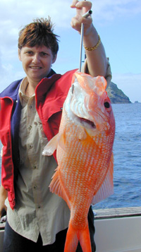 Can we eat that??? Part One - The Fishing Website