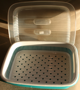 Storing Fish Fillets - The Fishing Website