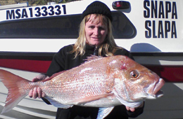 Humminbird NS-25 Fishfinder - The Fishing Website