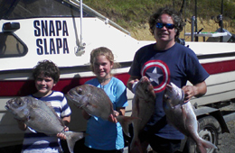 Humminbird NS-25 Fishfinder - The Fishing Website