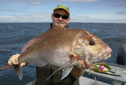 Snapper Fishing - drifting techniques for large snapper - The Fishing ...