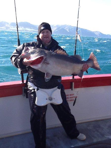 wellington update - The Fishing Website