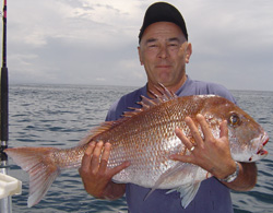 Bait - big snapper tip - The Fishing Website