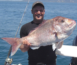 Bait - big snapper tip - The Fishing Website