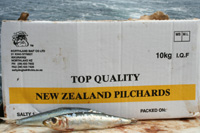 Bait - improving pillies - The Fishing Website