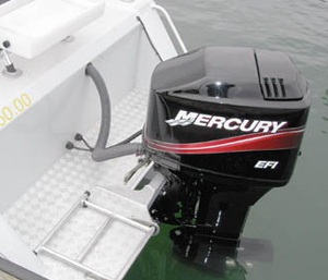 Bluefin 700 hardtop - The Fishing Website