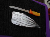 Gamefishing - Belly Strips and Teaser Lures - The Fishing Website