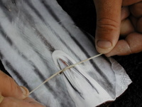 Gamefishing - Belly Strips and Teaser Lures - The Fishing Website