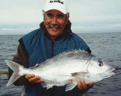 Tarakihi - winter tactics - The Fishing Website