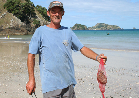 Bait - netting piper - The Fishing Website