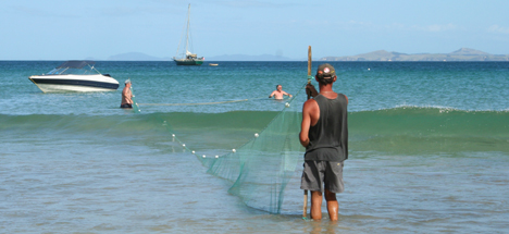 Bait - netting piper - The Fishing Website