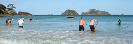 Bait - netting piper - The Fishing Website