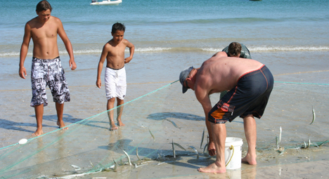Bait - netting piper - The Fishing Website