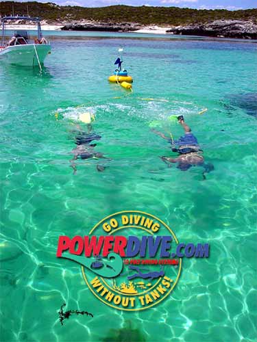 Power Dive - The Fishing Website