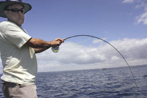 Tips for catching Kahawai - The Fishing Website