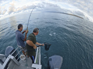 Tips for catching Kahawai - The Fishing Website