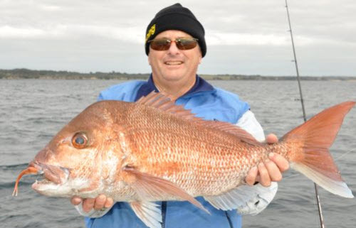 Softbaits – why matching the hatch is important - The Fishing Website