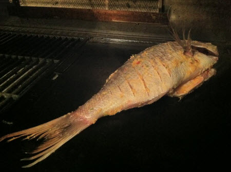 Snapper Chu Chee Curry - The Fishing Website