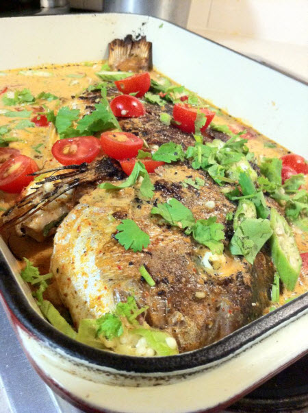 Snapper Chu Chee Curry - The Fishing Website