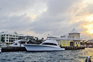 Beautiful Bermuda - The Fishing Website
