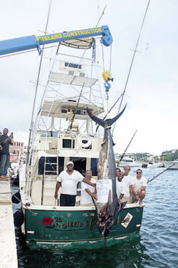 Beautiful Bermuda - The Fishing Website